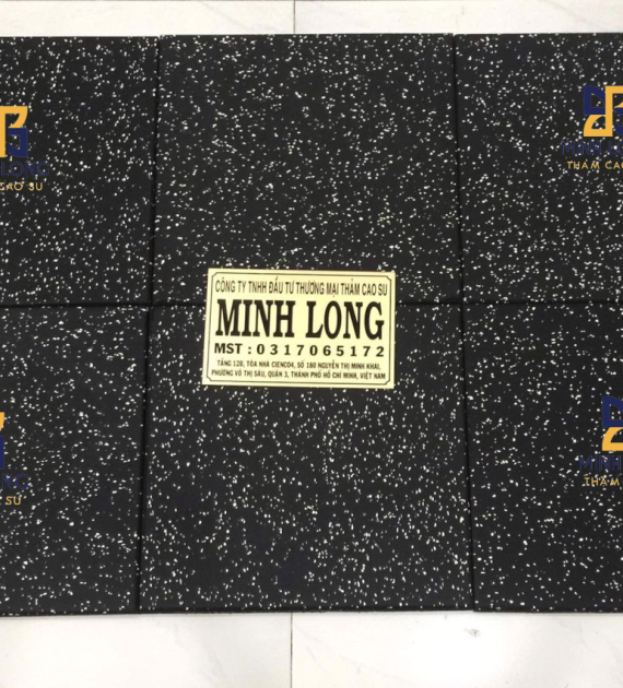 THẢM CAO SU MINH LONG, GẠCH CAO SU MINH LONG, GẠCH CAO SU PHÒNG GYM